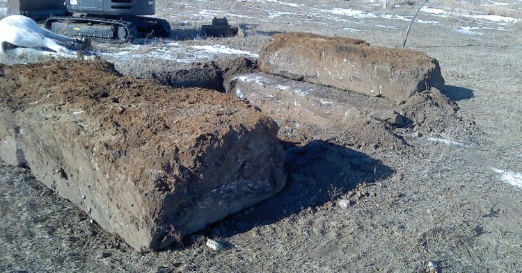 Gallery Image 2 – Bubba's Digging & Lawn Service, Inc.